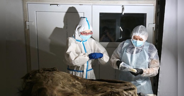 French Scientist Revive 48500 Year Old Zombie Virus Buried In Ice of ...