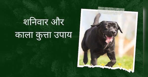 kala kutta astrology Feed this thing to black dog on Saturday Shani Dev ...