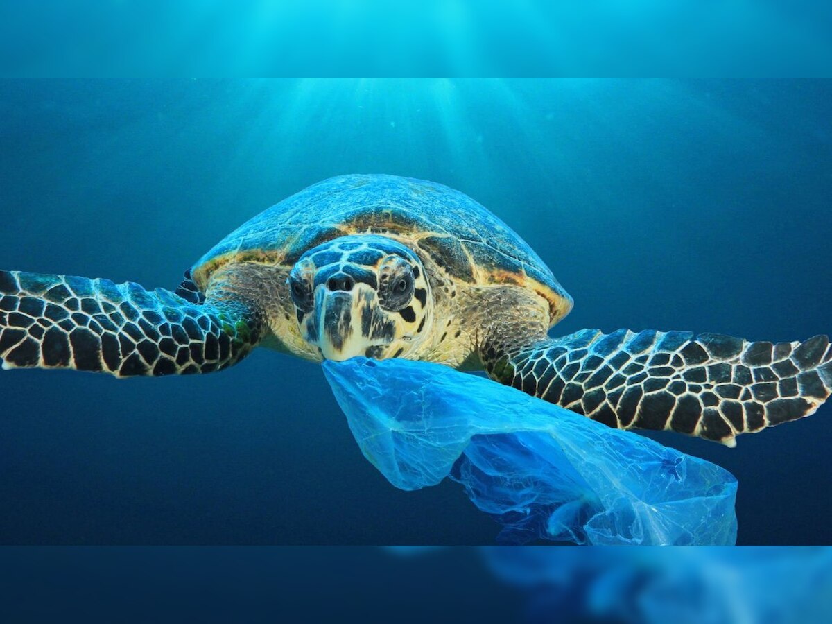 Plastic pollution in oceans 171 trillion pieces of microplastic ocean ...