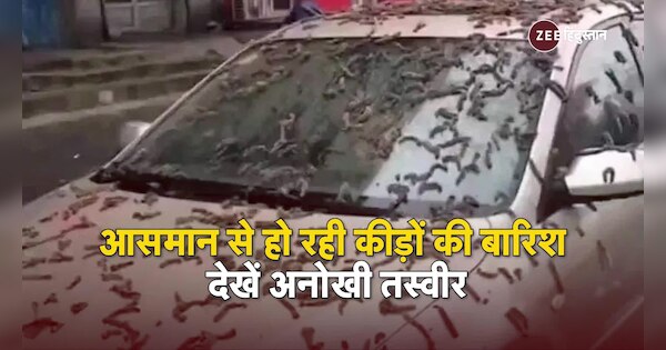 viral video of mysterious worm rain in beijing china | Viral Video ...