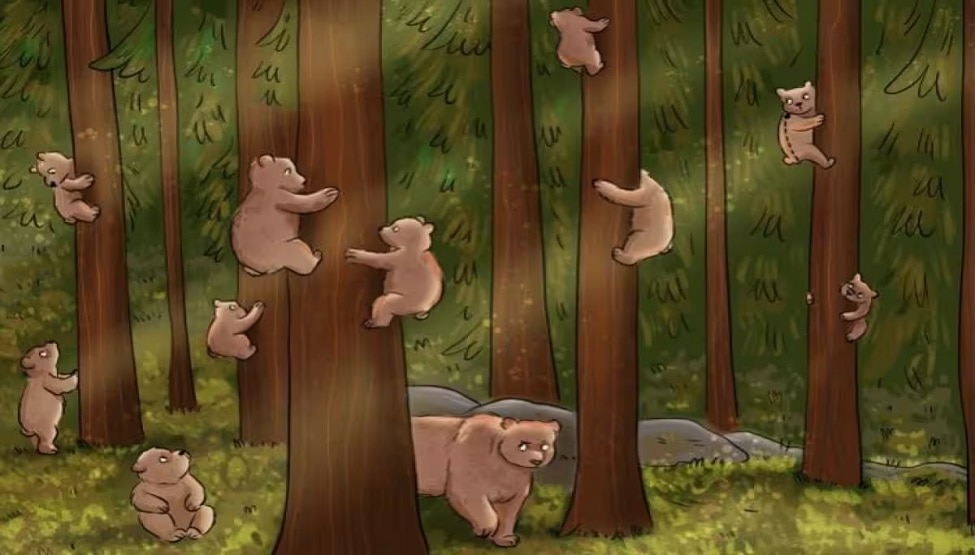 hardest picture of optical illusion spot the human hidden among bears ...
