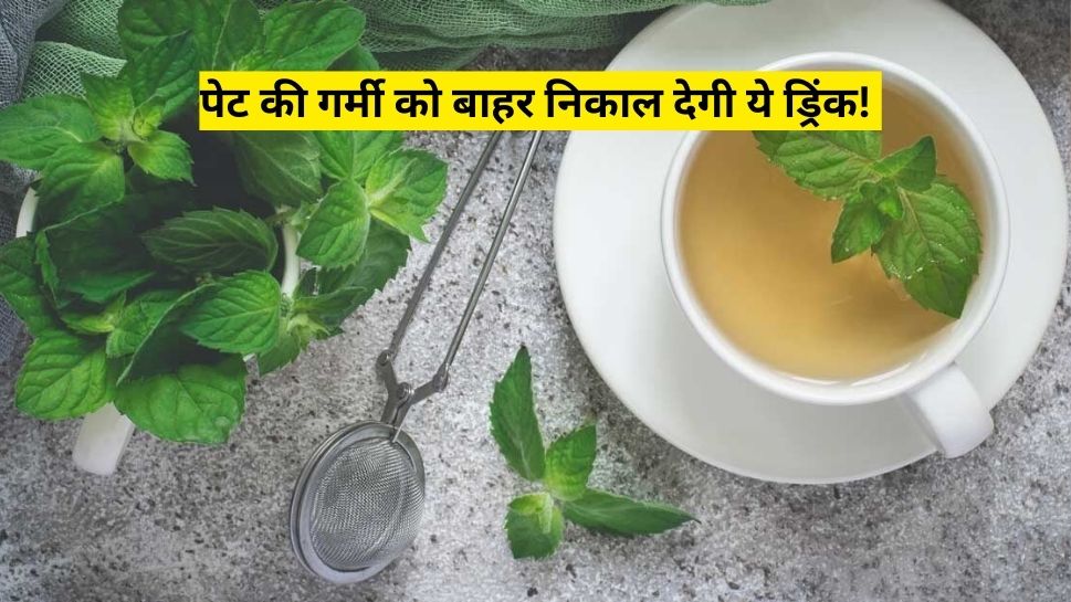 How To Make Peppermint Tea Summer Refreshing Drink | Hindi News, पेट की ...