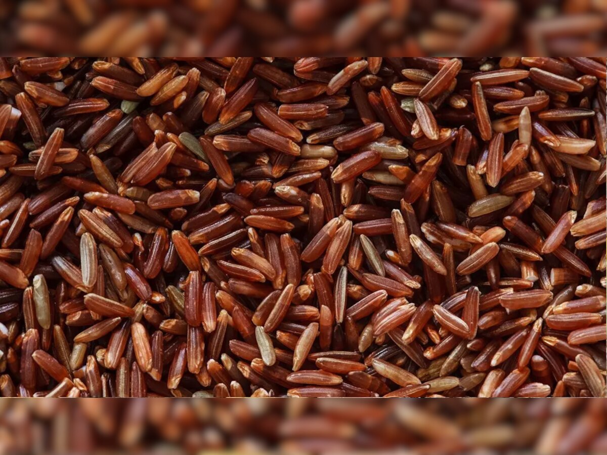 world's most expensive rice if eaten by old people they remain young ...