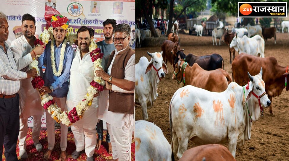 Bhilwara Cow devotees donated 2 bighas of land Thousands people ...