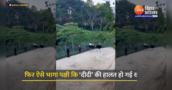 Ostrich Viral Video Didi rides ostrich bird ran in such a way that its ...