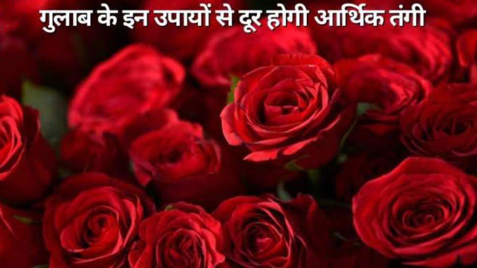 gulab ke upay these remedies of rose flower get good luck and success ...