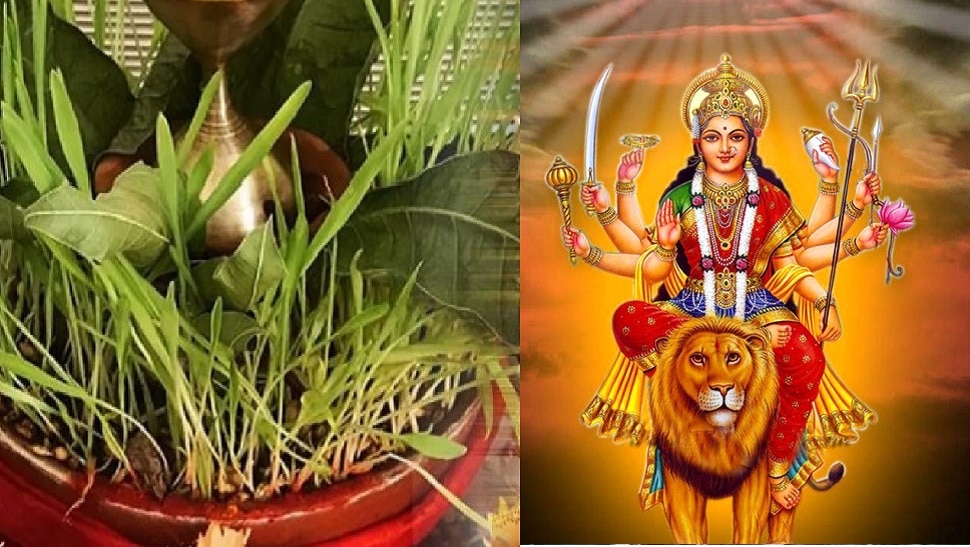 chaitra Navratri 2023 jau importance jaware shubh ashubh sanket jwar ...