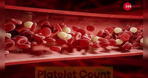 Low platelet level can be dangerous watch now | Platelet Count: कम ...