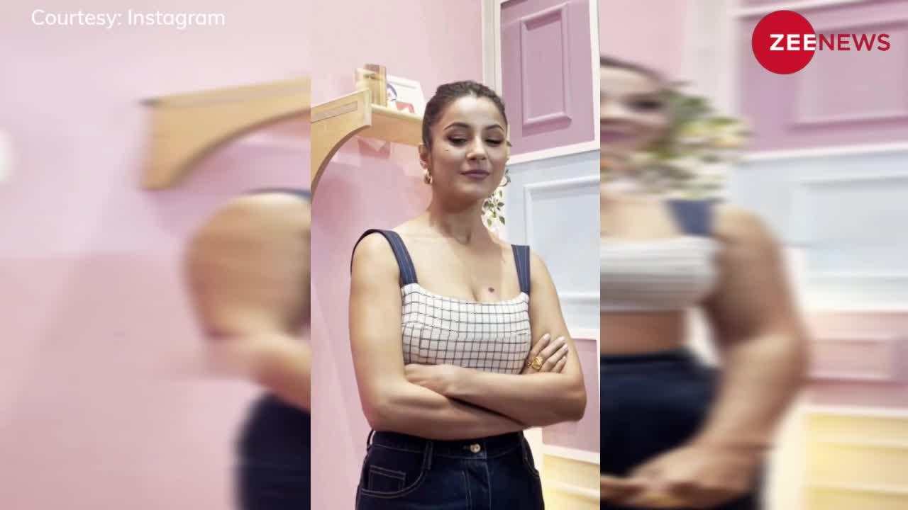 new hotty spotted shehnaaz gill revealed hotness in crop top flaunts ...