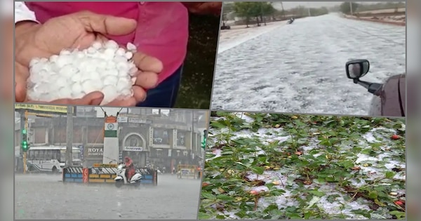 Weather News Heavy Rain And Hailstorm In Madhya Pradesh Farmers Rabi ...