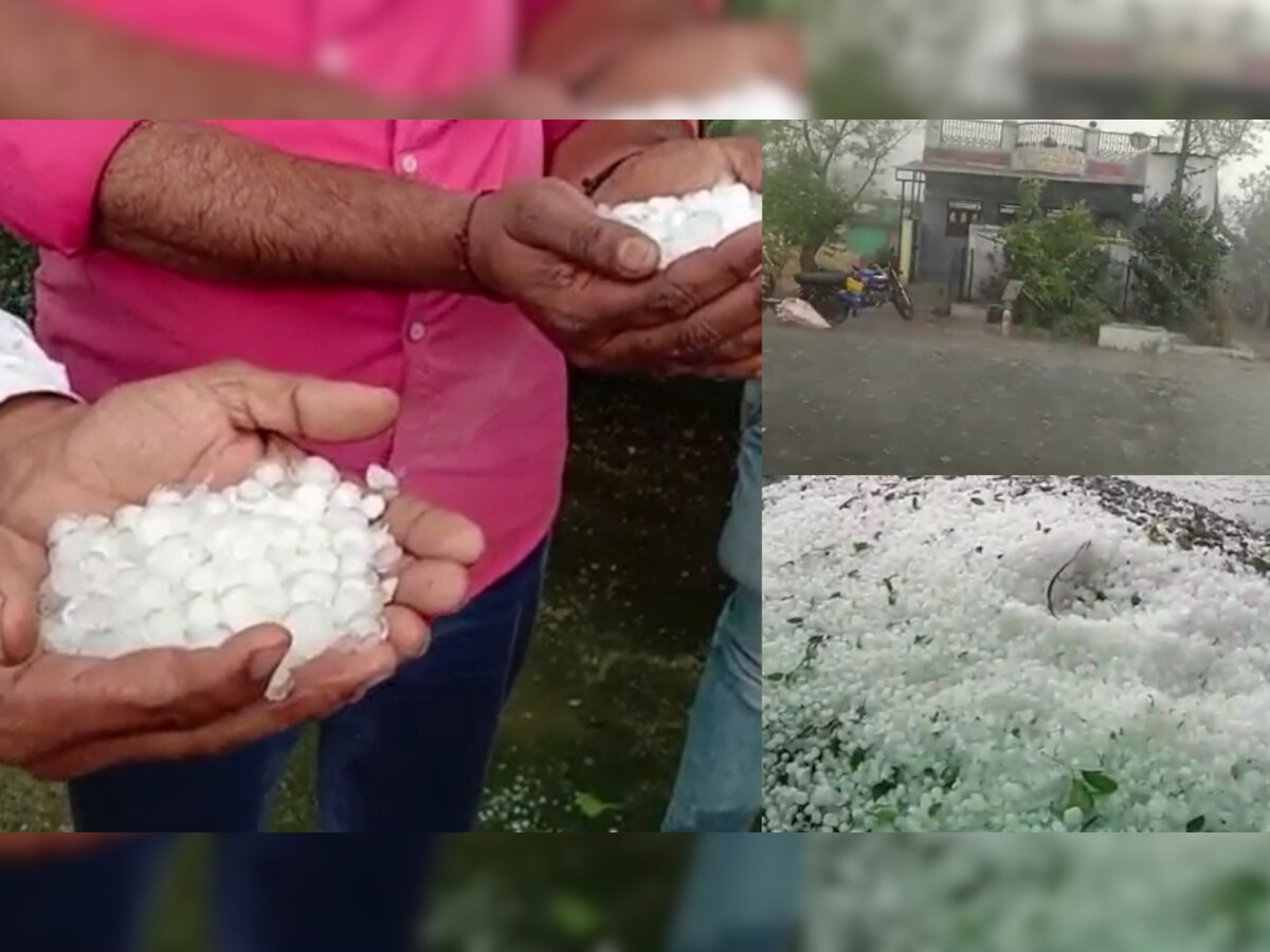 Weather News Heavy Rain And Hailstorm In Madhya Pradesh Farmers Rabi ...