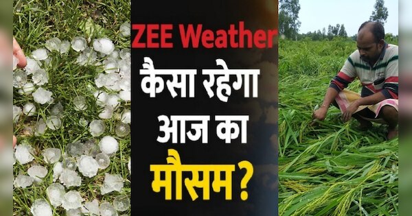 Weather Forecast Hailstorm Alert In Many District Of MP After Heavy Rain Mausam Samachar Bhopal ...