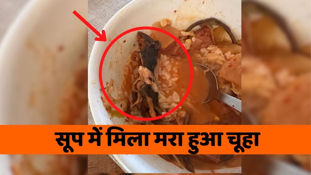 Viral Video Dead rat found in restaurants soup | Viral Video ...