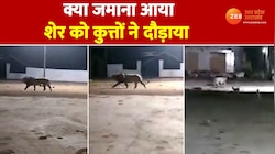 Strange news की ताज़ा खबरे हिन्दी में | ब्रेकिंग और लेटेस्ट न्यूज़ in ...