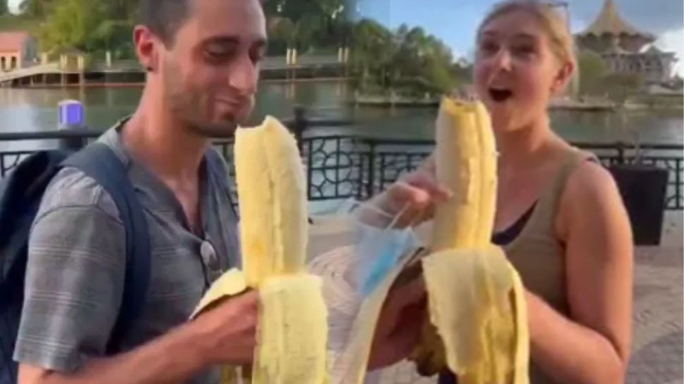 Viral Video of worlds largest banana weighs 3 kg shocking | Viral Video ...