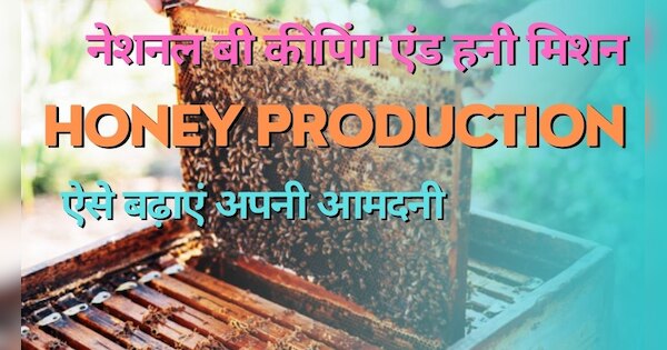 honey production bihar govt made special plan for mahila samuh to ...