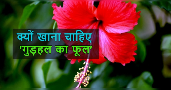 benefits of eating hibiscus flower in diet gudhal k fool k fayede ...