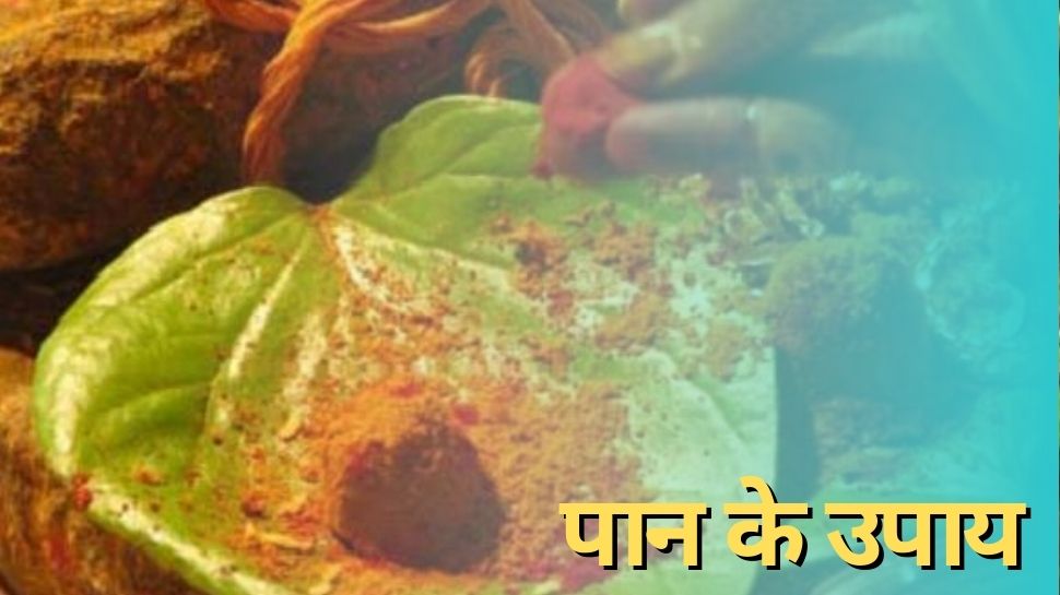 chaitra navratri 2023 do these remedies of paan ke patte on mahastami ...