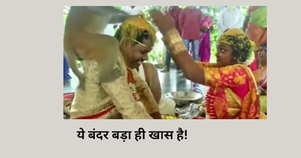 monkey with bride and groom in wedding rituals going on the stage video ...