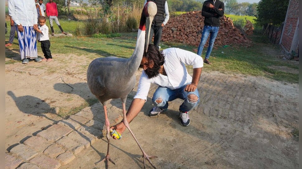 if you have pet animal know the rule to pet it arif and sarad frienship