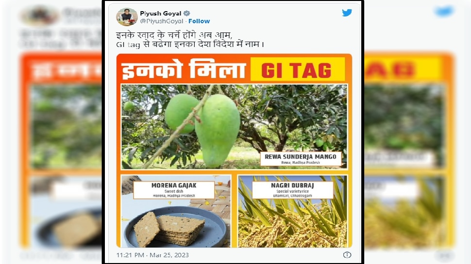 Good News Sundarja Mango Rewa Morena Famous Gajak Dhamtari Nagari ...