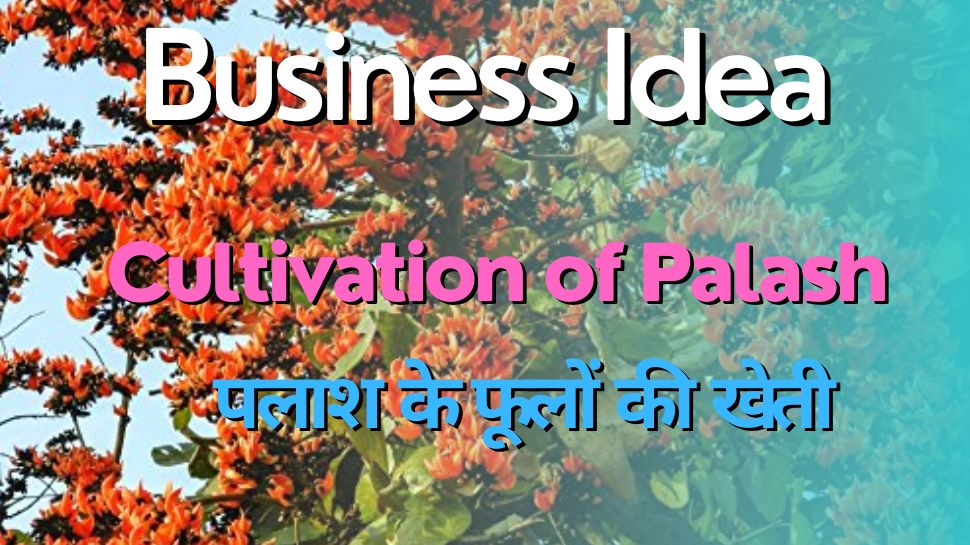 Business Idea Palash Ki Kheti how to start Cultivation of Palash know here money making tips ...