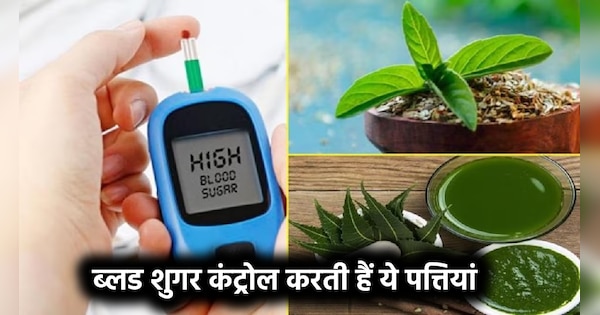 Diabetes Control: 5 best leaves full of medicinal properties do not ...