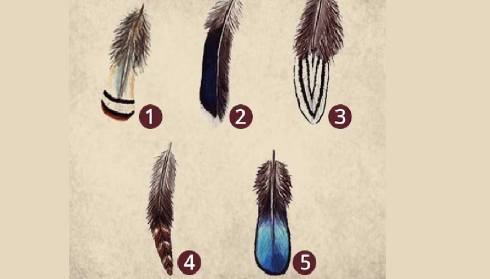 feather of personality test choose one and read the meaning of your ...
