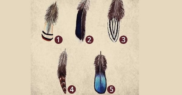 feather of personality test choose one and read the meaning of your ...