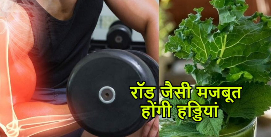 how to make bones strong like iron eat palak green vegetable daily ...