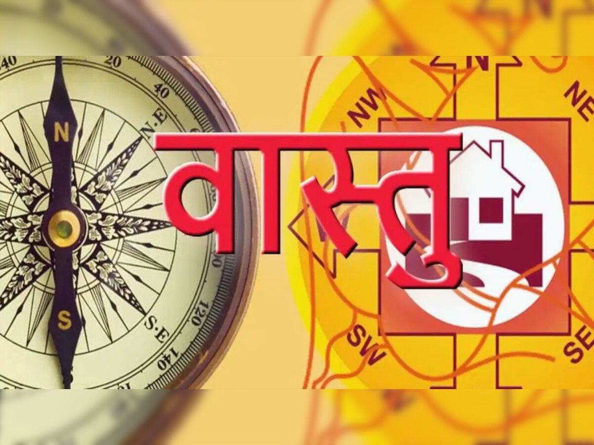 vastu tips for shami plant This plant panacea for every problem it also ...