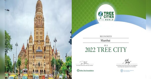 India commercial capital mumbai has been included in world tree city ...