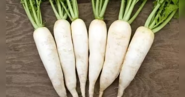 Radish Benefits benefit of eating muli for health know radish ke fayede ...