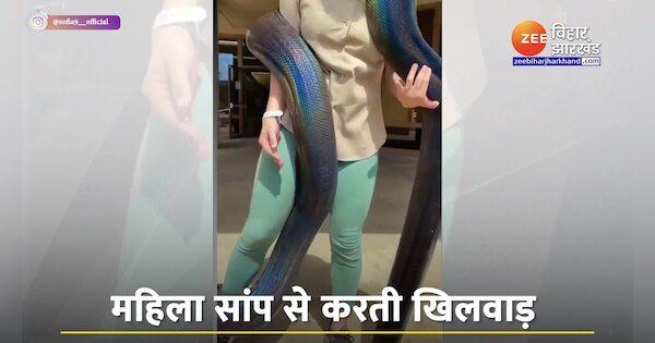 King Cobra Python romance with girl will be in watery after watching ...