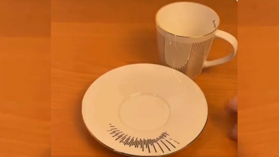 Optical Illusion little bird is hiding in the cup plate find it in 10 ...
