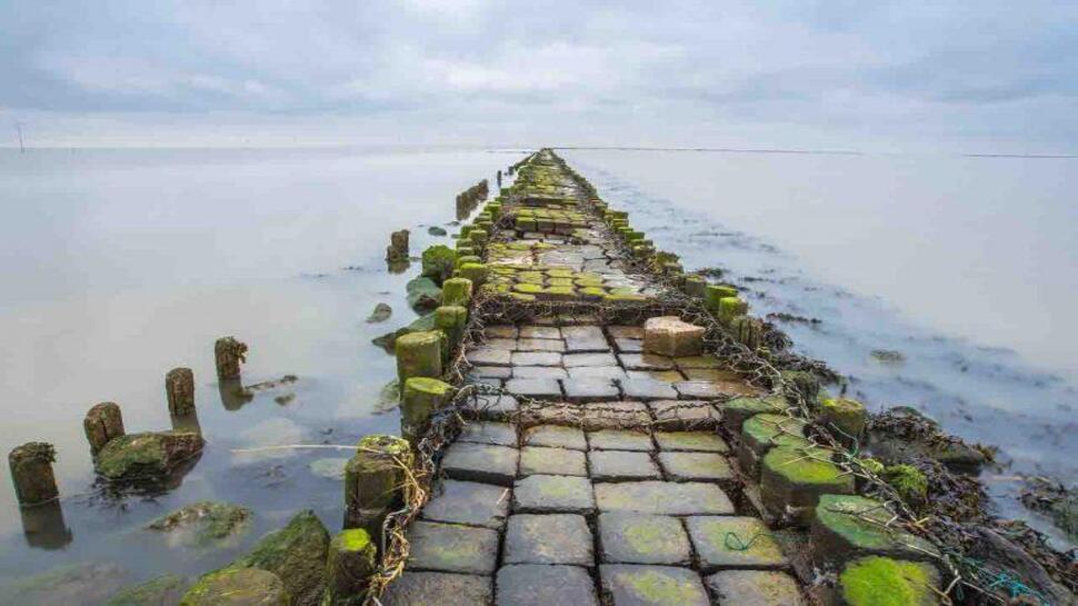 Ram Setu Stone: କାହିଁକି ପାଣିରେ ଭାସିଥାଏ ରାମସେତୁ ପଥର? ଏହା ପଛରେ ରହିଛି କେଉଁ ...