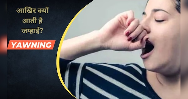 scientific reason of yawn why people do after watching each other किसी ...
