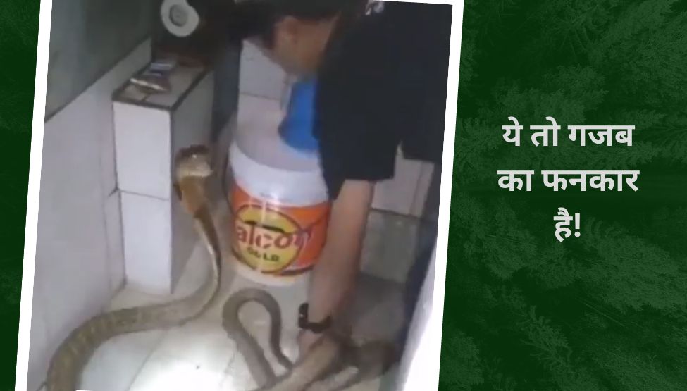 Cobra bath by man with water shocking video goes viral on social | King Cobra का फन पकड़कर नहला ...