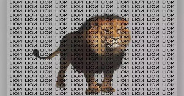 Correct spelling of lion in optical illusion spot if you are genius ...
