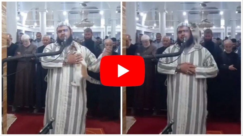 cat climb on imam during taraveeh prayer video goes viral