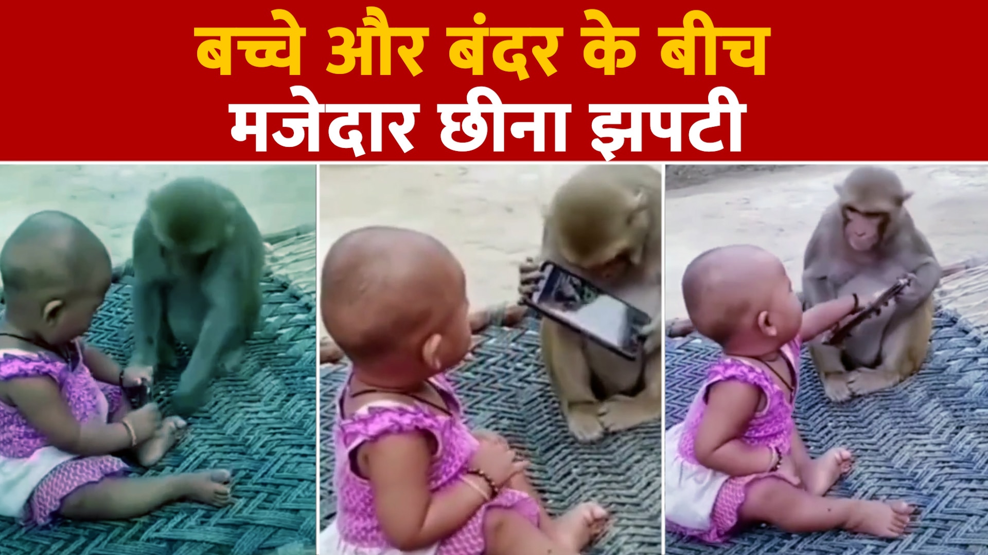 Funny fight between Monkey and Child went viral on internet see video ...