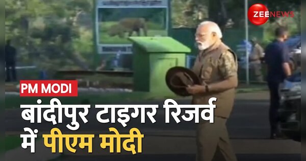 Project Tiger: PM Modi reaches Bandipur Tiger Reserve | Bandipur Tiger ...