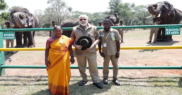 Prime Minister Modi is in new look for jungle safari, watch this video