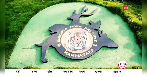 50 years of Project Tiger: Modi's mission to save the tiger | 50 years ...