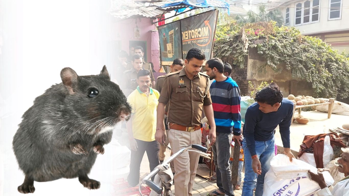 Rat Murder Case badaun Charge sheet filed know why Manoj gives death ...