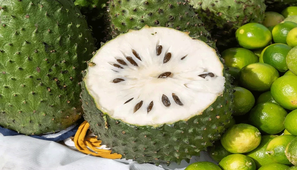 Hanumanji named Powerful fruit Hanuman Phal which tastes like ...