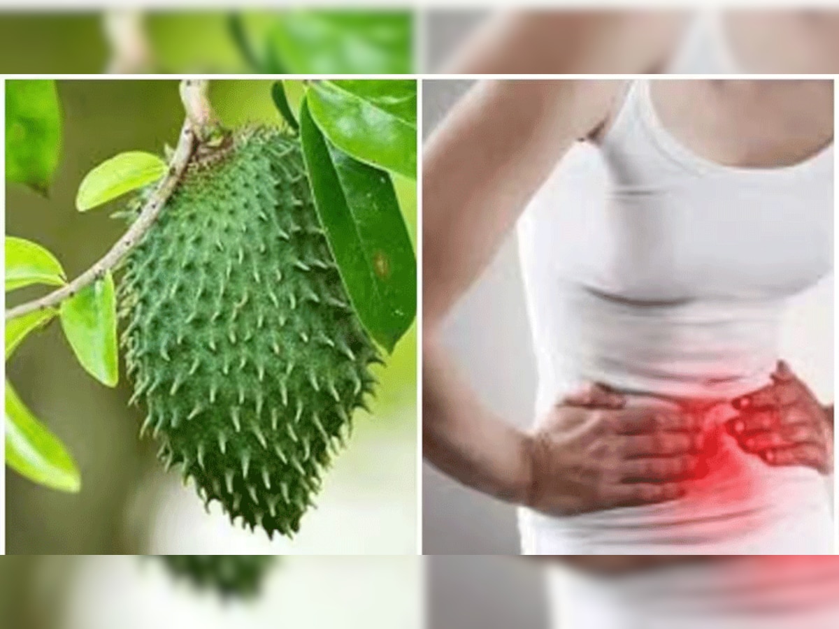 Hanumanji named Powerful fruit Hanuman Phal which tastes like ...