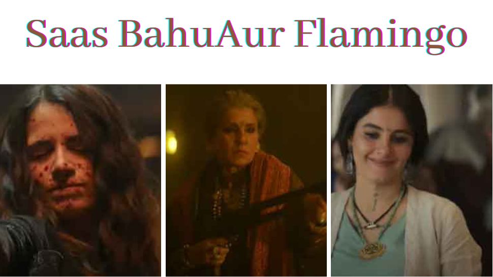 Dimple kapadia, radhika madan starrer Saas bahu aur flamingo trailer out today |Saas Bahu aur ...