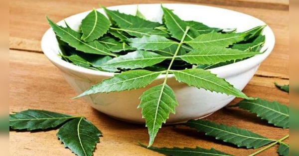 health tips benefits of neem leaves for body in hindi neem ke pattiyon ...