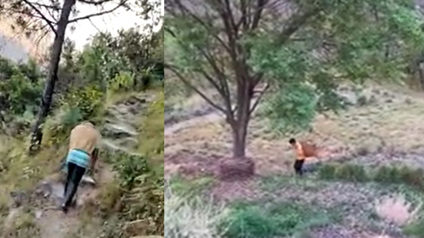 Uttarakhand dhami sarkar rudraprayag public facilities Patients doing ...